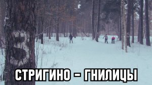 Стригино - Гнилицы