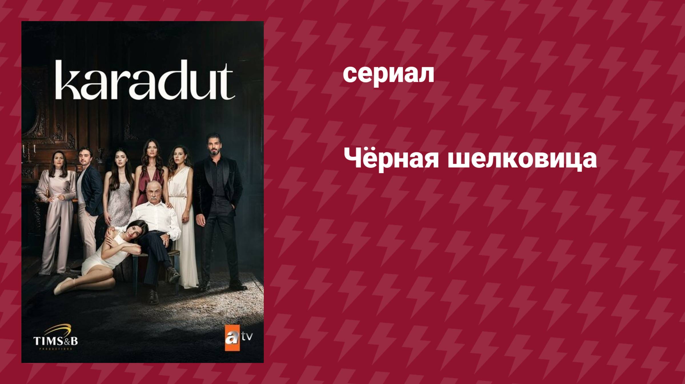 Чёрная шелковица (сериал, 2024)