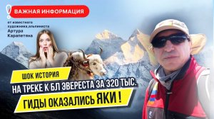 ШОК ИСТОРИЯ В ГИМАЛАЯХ! ЯКИ как ГИДЫ. Артур Карапетян #горы #трек #mountains #everest #эверест