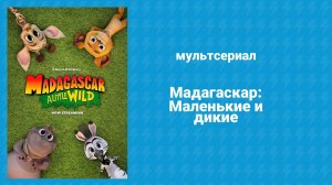 Мадагаскар: Маленькие и дикие (мультсериал, 2020-2022)