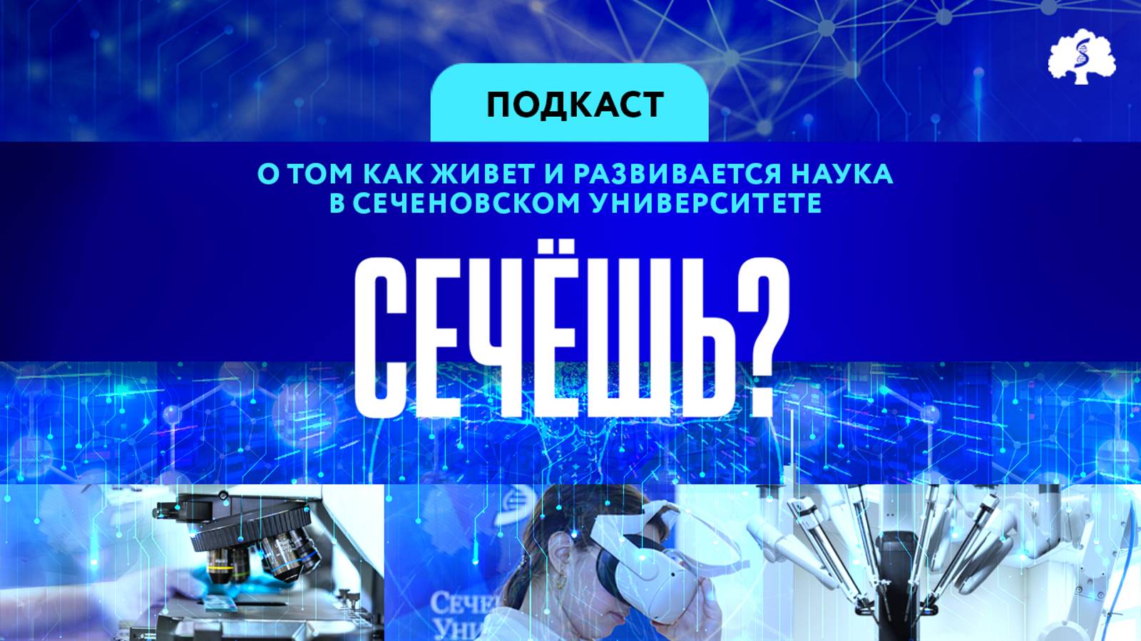 Подкаст «Сечёшь?»