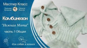 МК Комбинезоны для собак и кошек спицами и крючком