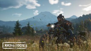 Days Gone . Прохождение