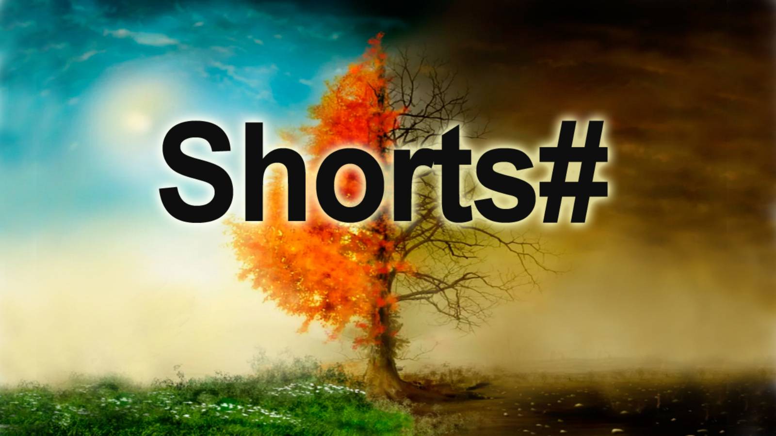 Shorts для RUTUBE