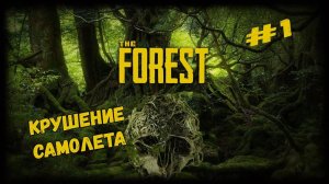 The Forest