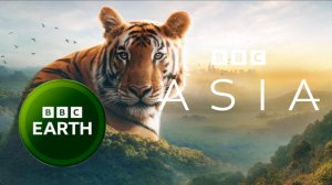 BBC Earth На Русском