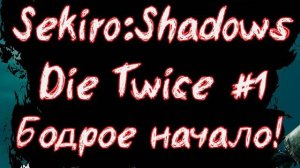 Sekiro:Shadows Die Twice