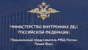 Официальный представитель МВД России Ирина Волк