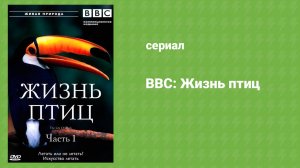 BBC: Жизнь птиц (документальный сериал, 1998)