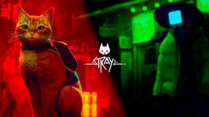 STRAY