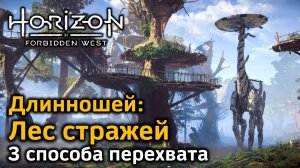 Horizon Forbidden West | Все длинношеи