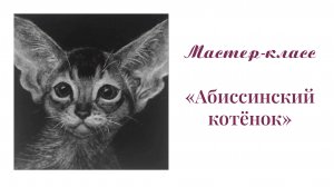 МК ″Абиссинский котёнок″