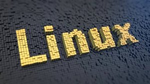 Linux для разработчиков