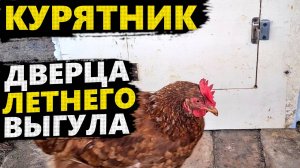 КУРЯТНИК - Ремонт, улучшения и оборудование для курятника