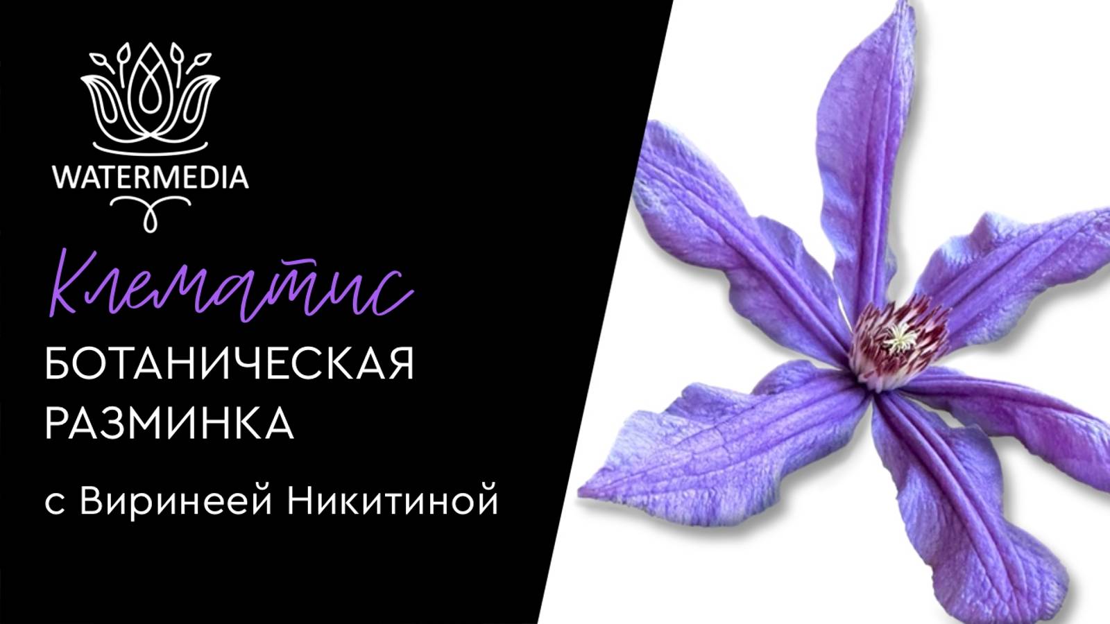 Ботаническая разминка