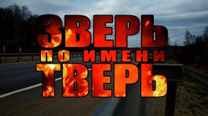 2019 - Зверь по имени Тверь