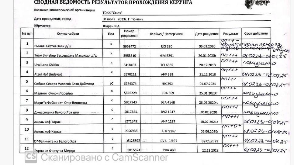 Кёрунг ТЮМЕНЬ сб 01 июл`23 (И.Ширан) 12 собак