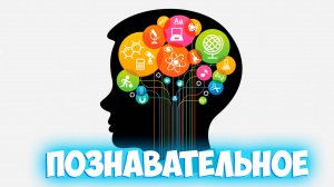 Познавательное