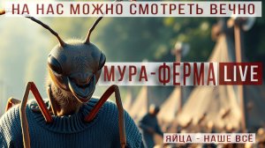 Муравьиная ферма.Жнецы.Мура-ферма LIVE.Прямые эфиры.Жизнь за стеклом.+Радио ″Мураши LIVE″