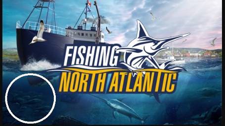 Fishing: North Atlantic