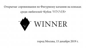 Открытые соревнования среди любителей «Кубок Winner», 15 декабря 2019 года