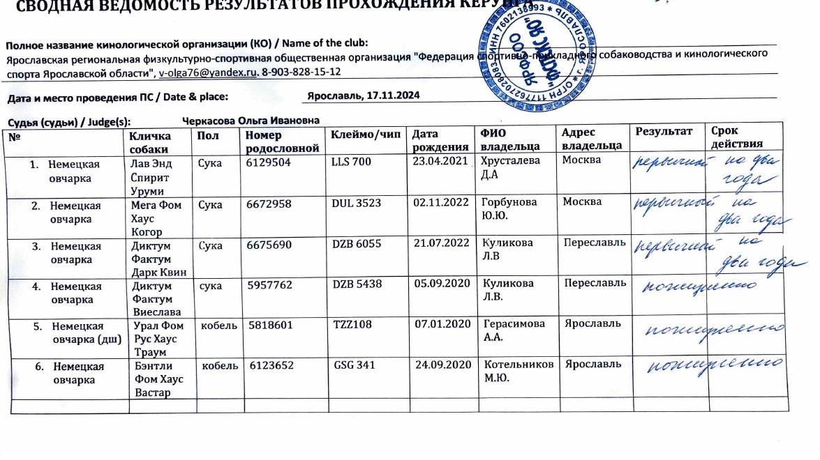 Кёрунг ЯРОСЛАВЛЬ вс 17 ноя`24 (О.Черкасова) 8 собак