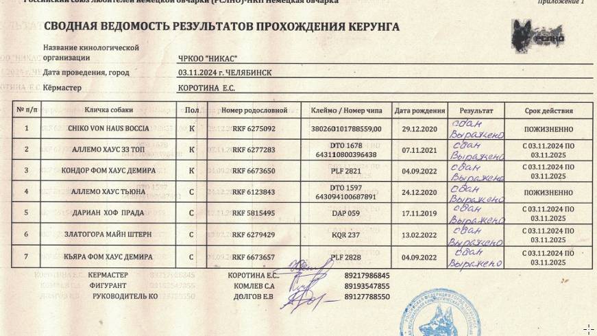 Кёрунг ЧЕЛЯБИНСК вс 03 ноя`24 (Е.Коротина) 7 собак