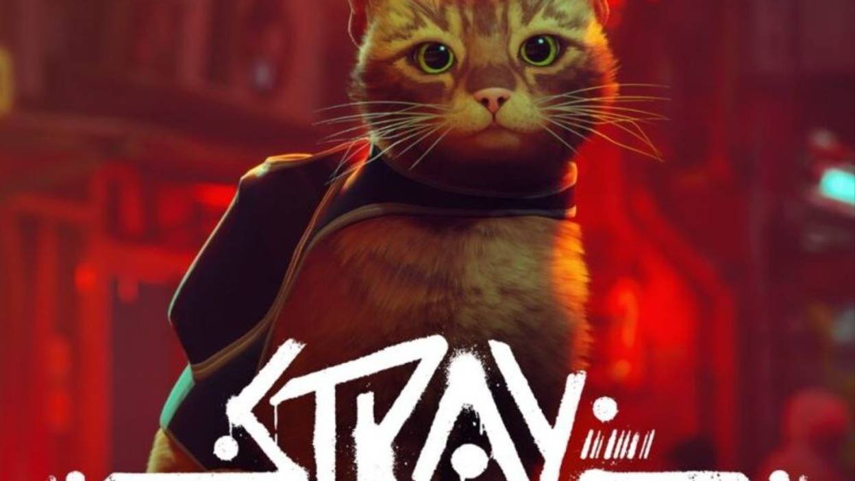 Stray