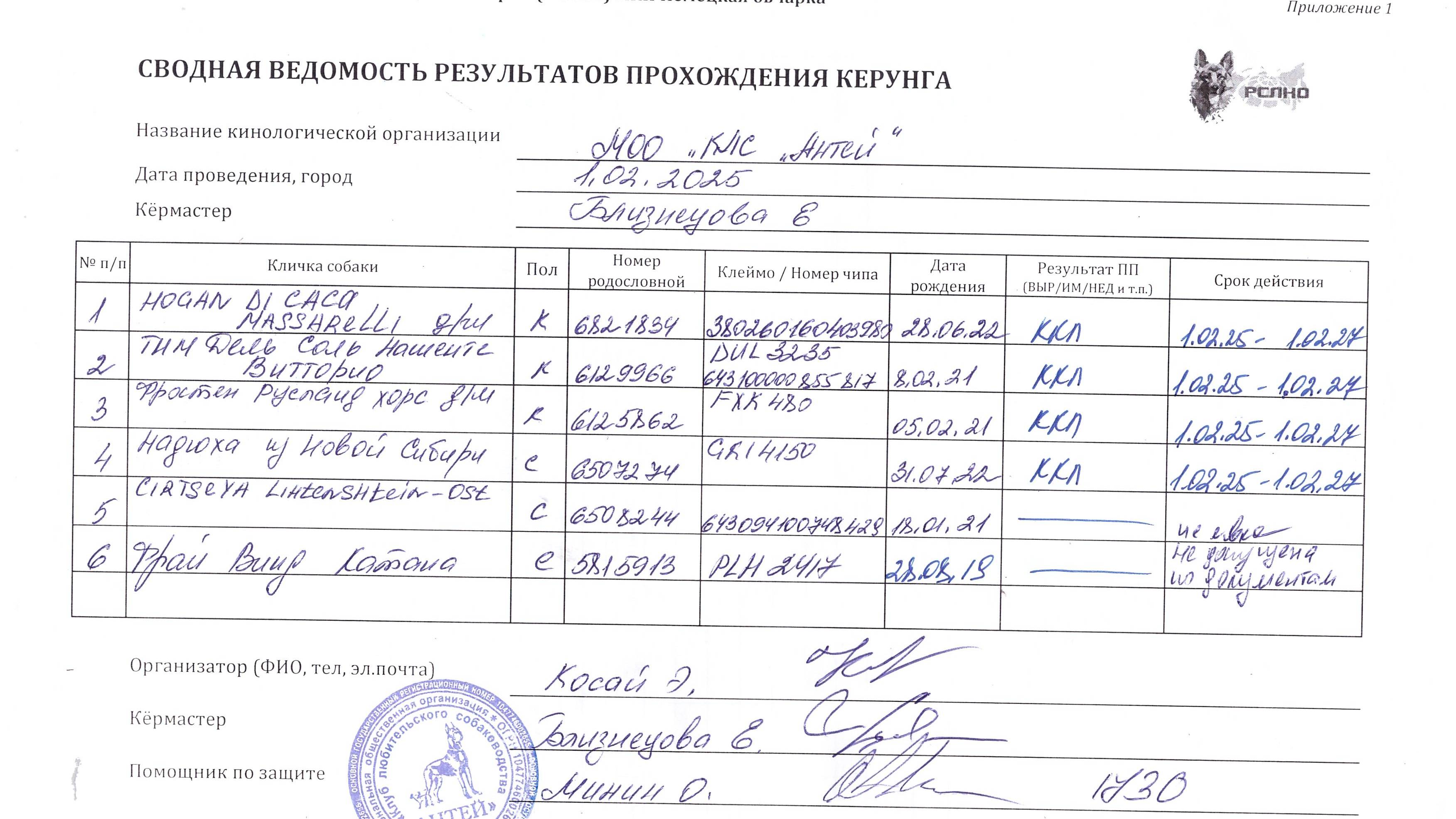 Кёрунг МО ЭЛЕКТРОСТАЛЬ сб 01 фев`25 (Е.Близнецова) 6 собак