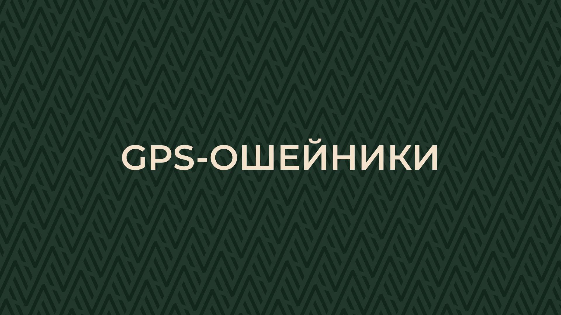 GPS-ошейники