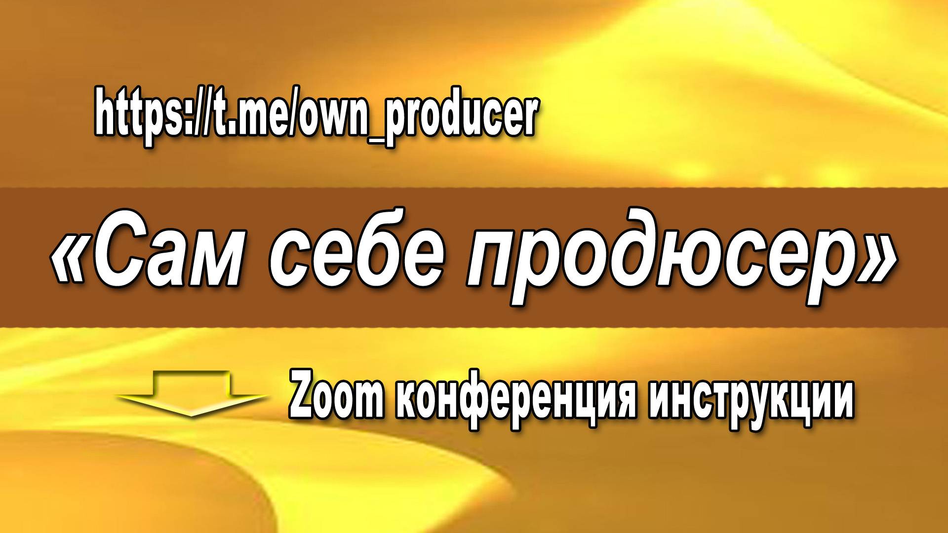 Zoom инструкции