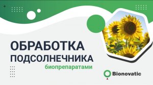 Подсолнечник. Обработка биопрепаратами Bionovatic