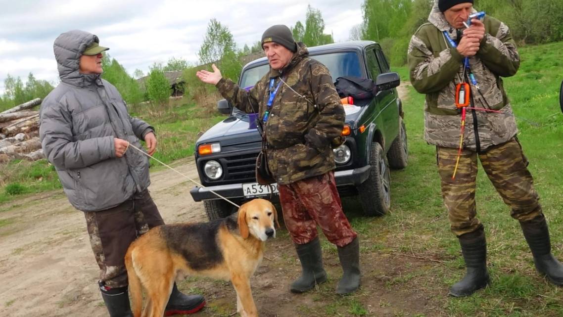 Полевые испытания и состязания гончих .