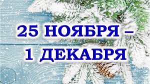 ❄️ С 25 НОЯБРЯ по 1 ДЕКАБРЯ 2024 г. 🩵 Таро-прогноз 🧿