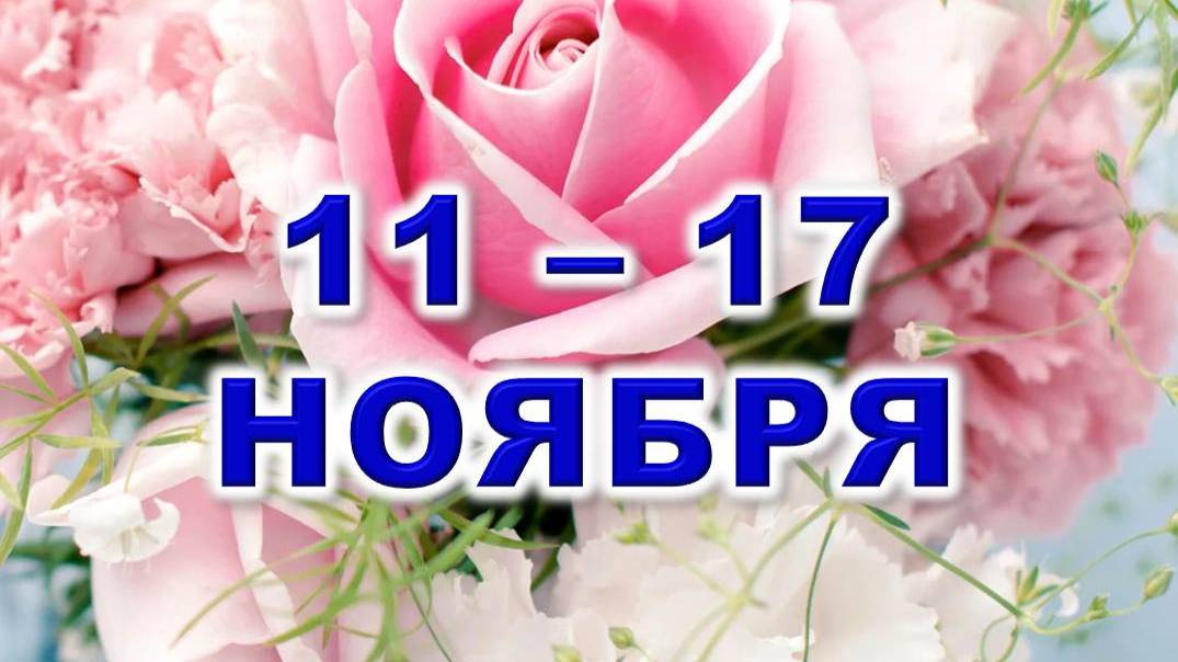 🌸 С 11 по 17 НОЯБРЯ 2024 г. 🩷 Таро-прогноз 💎