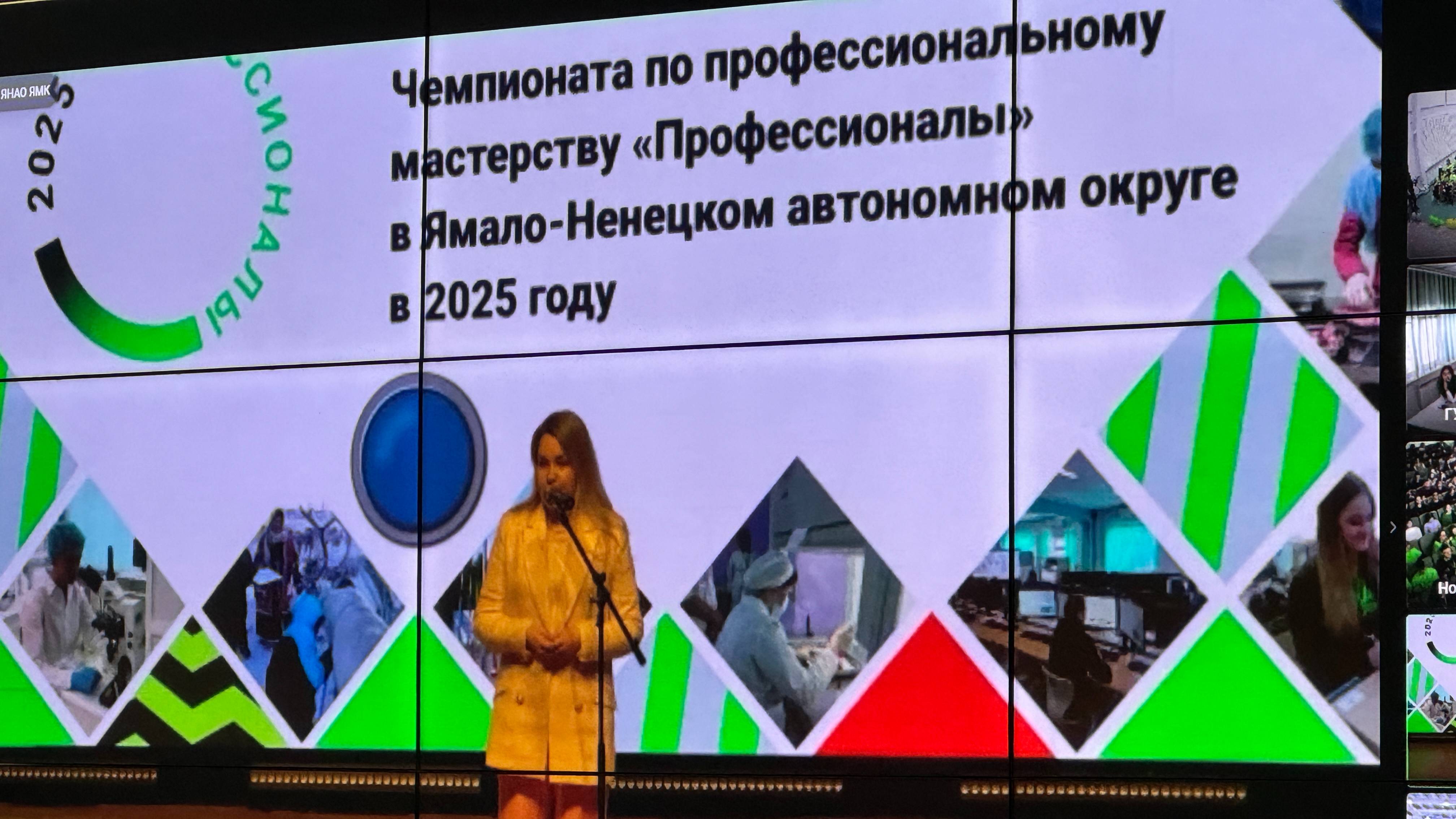 Профессионалы 2025