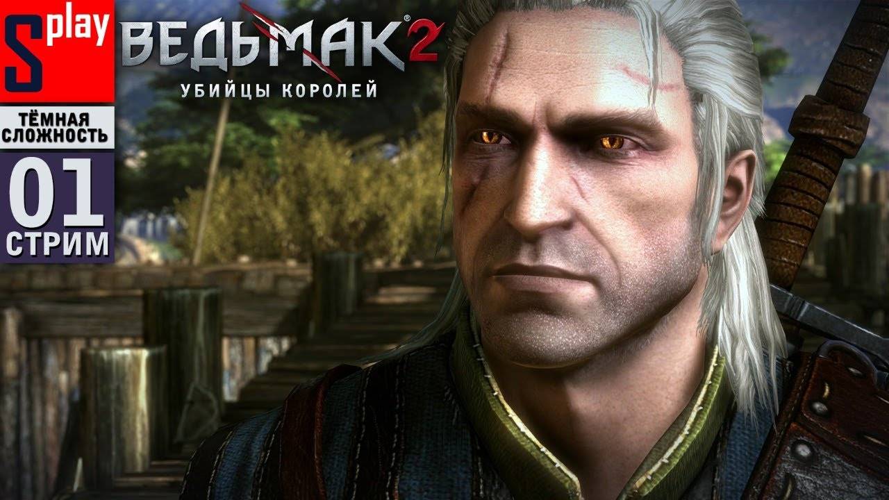 The Witcher 2 Assassins of Kings (ТЁМНАЯ СЛОЖНОСТЬ)