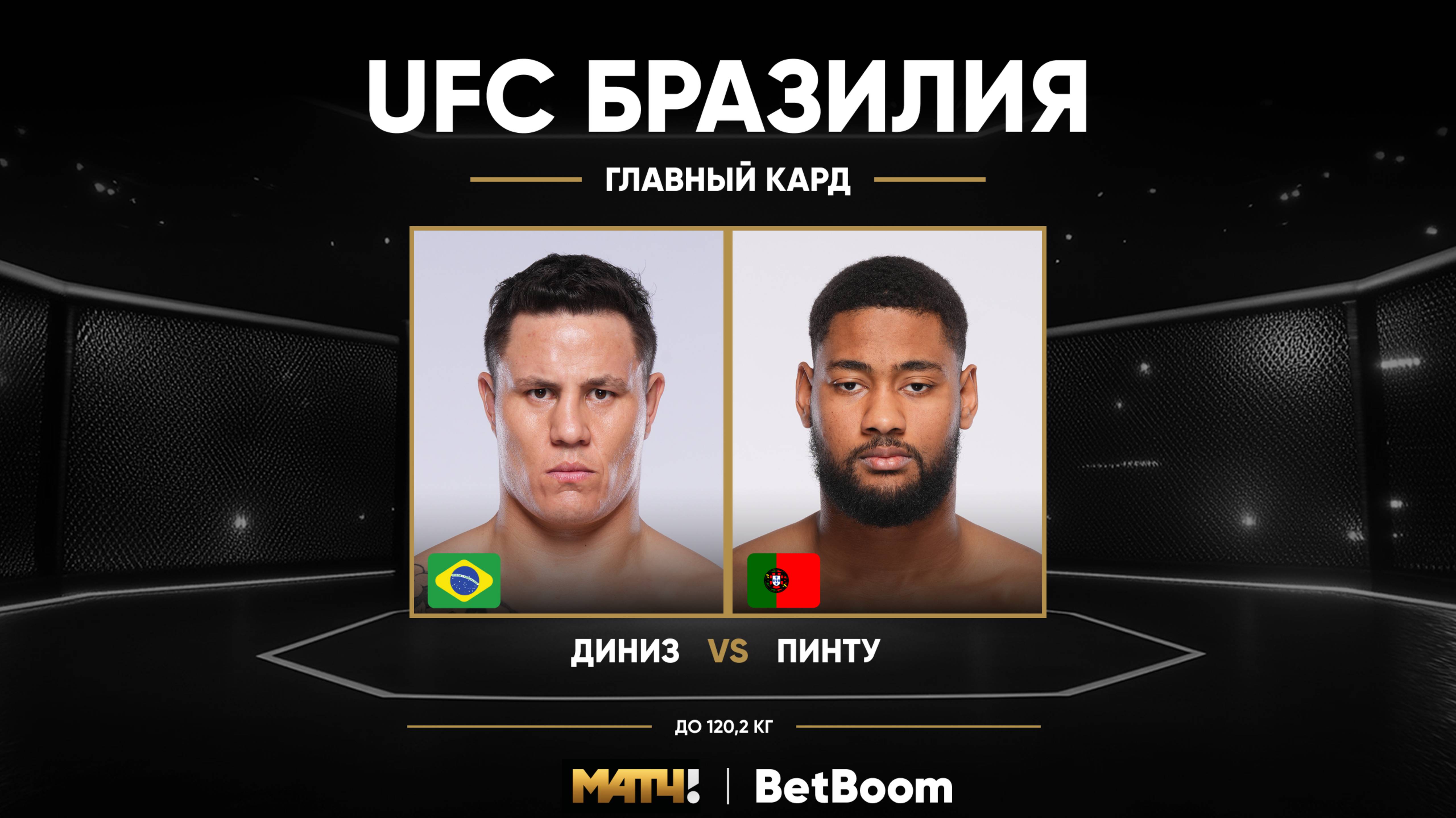 Изображение к видео: Джоната Диниз против Марио Пинто на UFC Fight Night