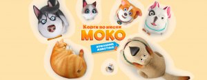 Корги по имени Моко. Домашние животные 2