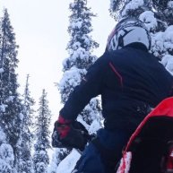 Red-green snow 51 Аватар автора
