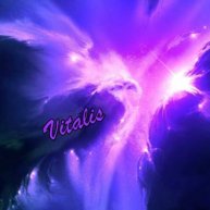 Vitalis Аватар автора