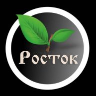 Росток-благовестник. Православная школа-интернат Аватар автора