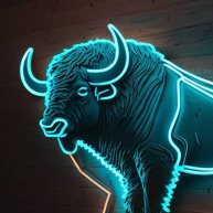 Neon Bizon Аватар автора