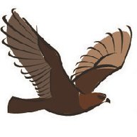 gorodles.ru Аватар автора