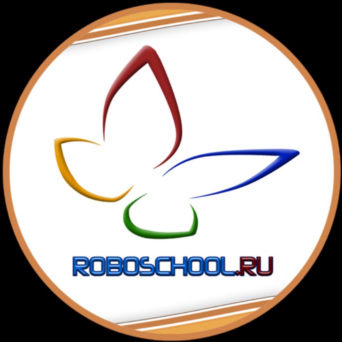 Roboschool.ru Аватар автора