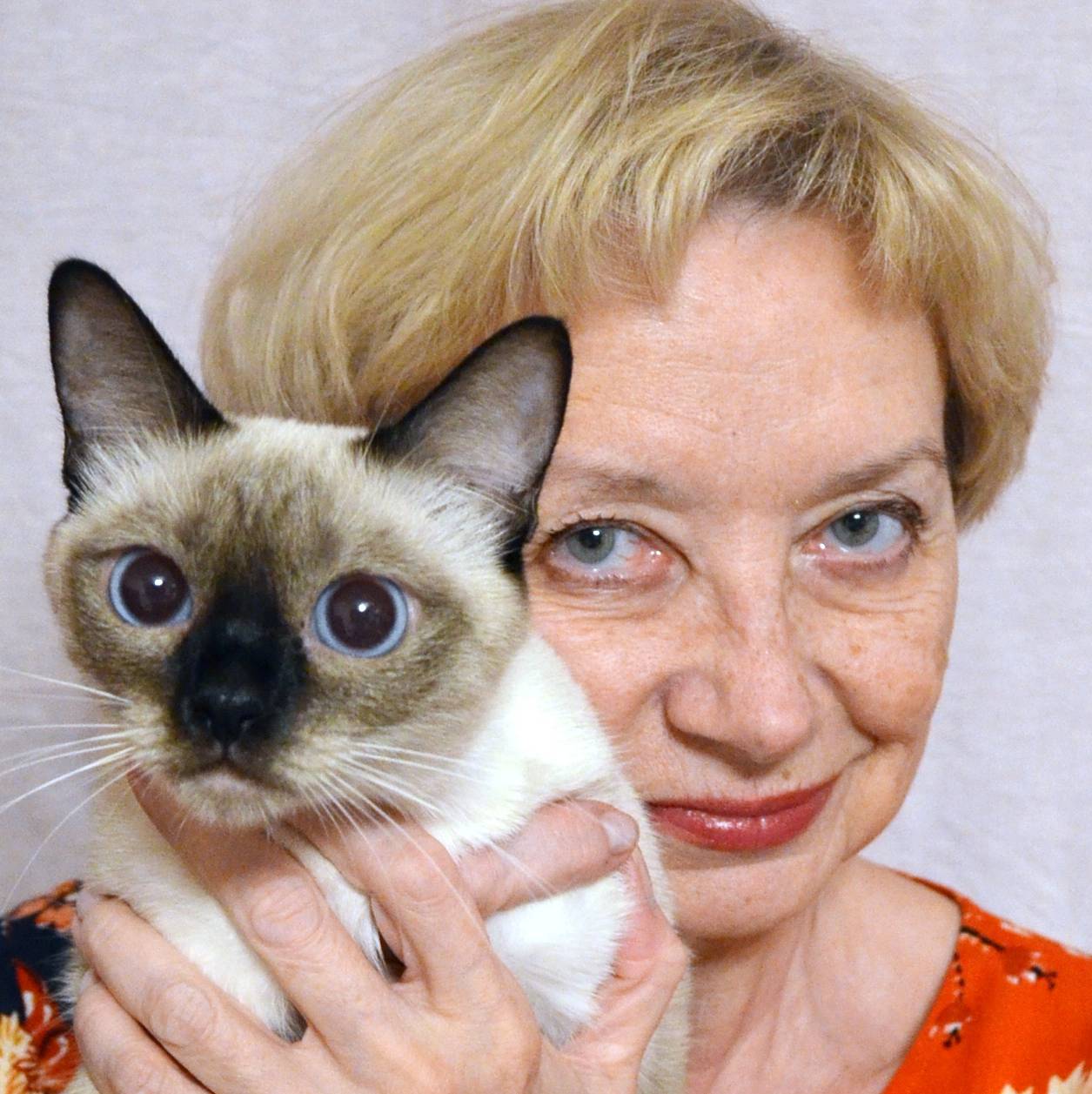 Тайские кошки и все, что я люблю