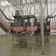 Dutch Poultry Technology bv Аватар автора