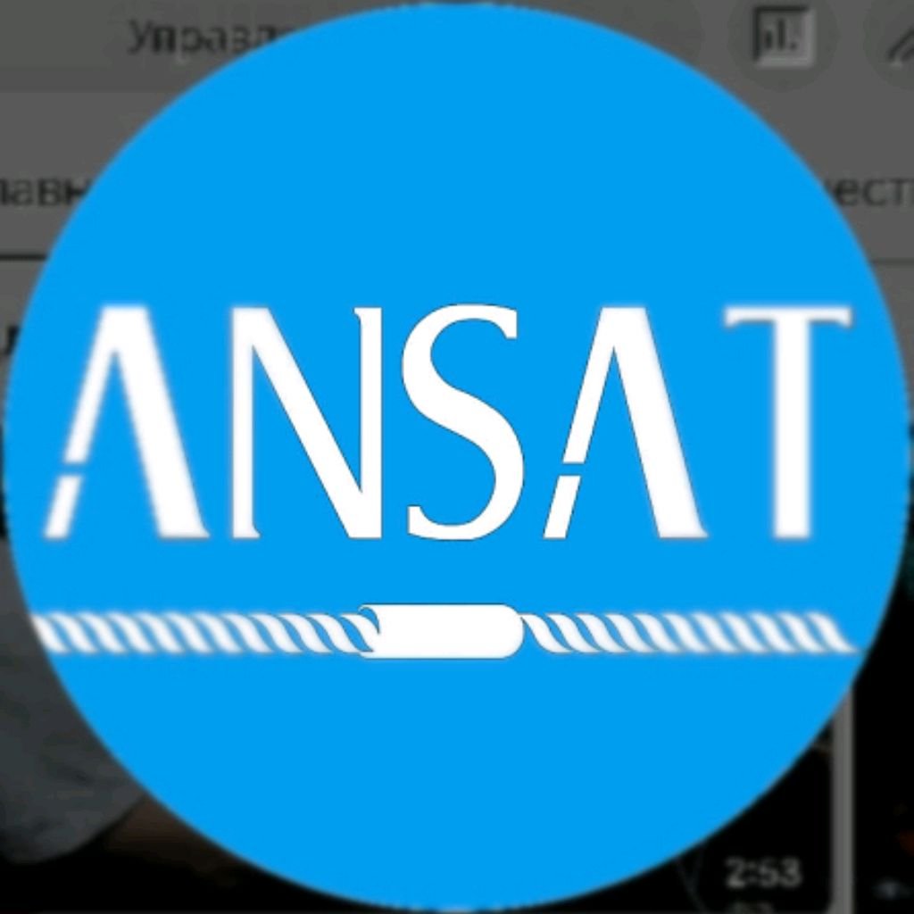 ANSAT Аватар автора