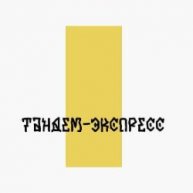 Тандем-Экспресс Аватар автора