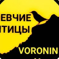 Певчие птицы Виктор Воронин Аватар автора